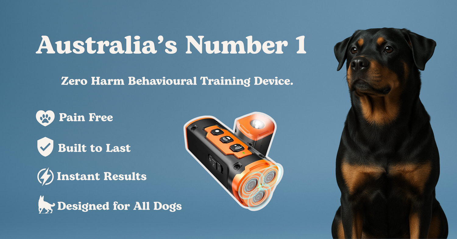 CALM K9 I OFFICIAL – Calm K9