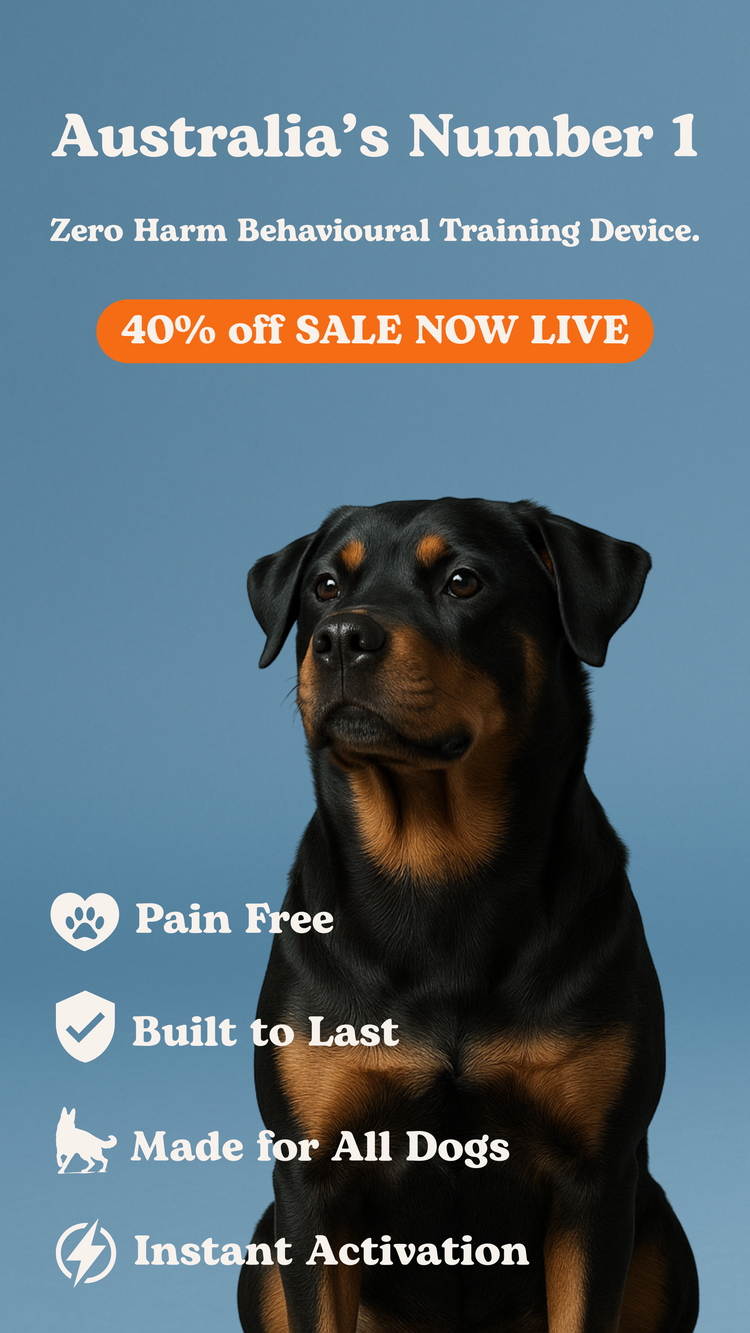 CALM K9 I OFFICIAL – Calm K9